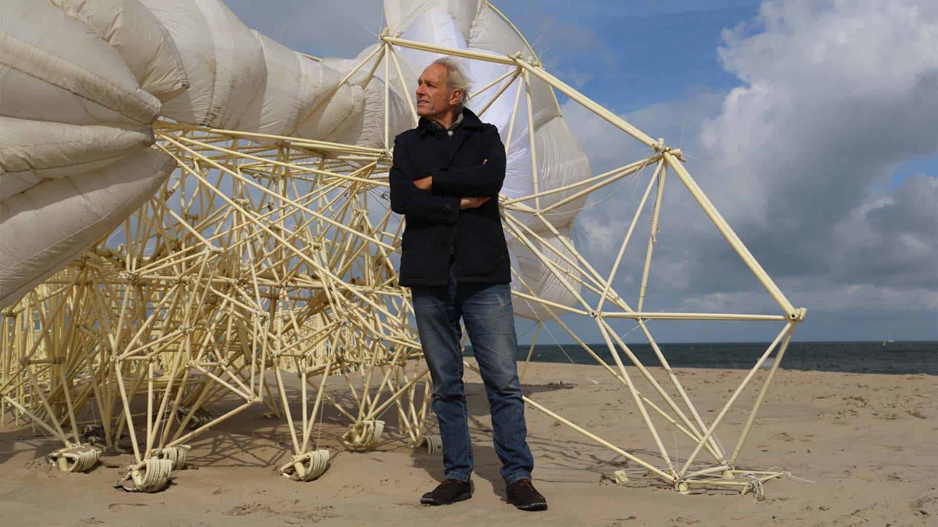 Kunstenaar Theo Jansen in De Meenthe | RTV SLOS